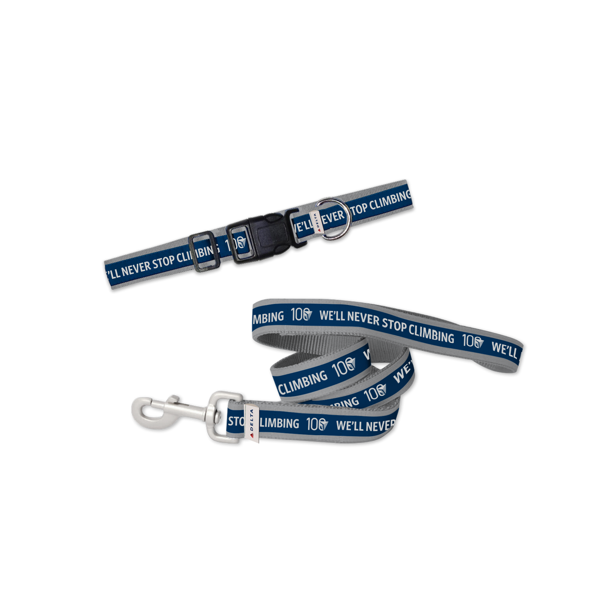 Dog Collar + Leash Set – Delta Shop